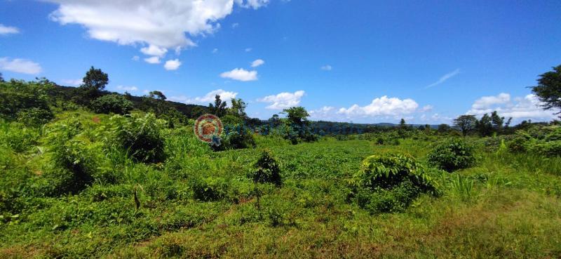 Land For Sale Nkokonjeru Mukono Central (PID: 8PABFE) | Private Property
