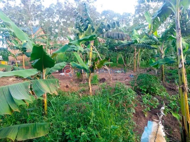 Land For Sale Matuga Kampala Central (PID: 0PABVD) | Private Property