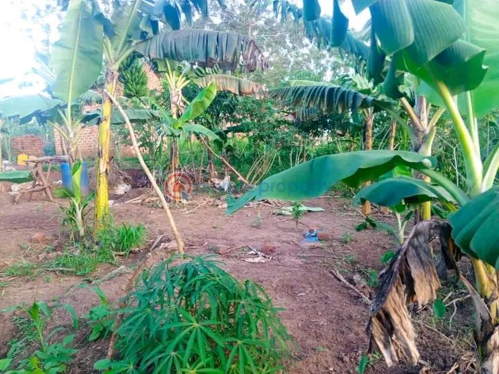 Land For Sale Matuga Kampala Central (PID: 0PABVD) | Private Property