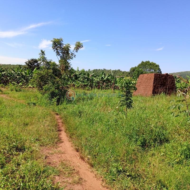 Land For Sale Busiika Gayaza Road Kampala Central (PID: 5PAAAC ...