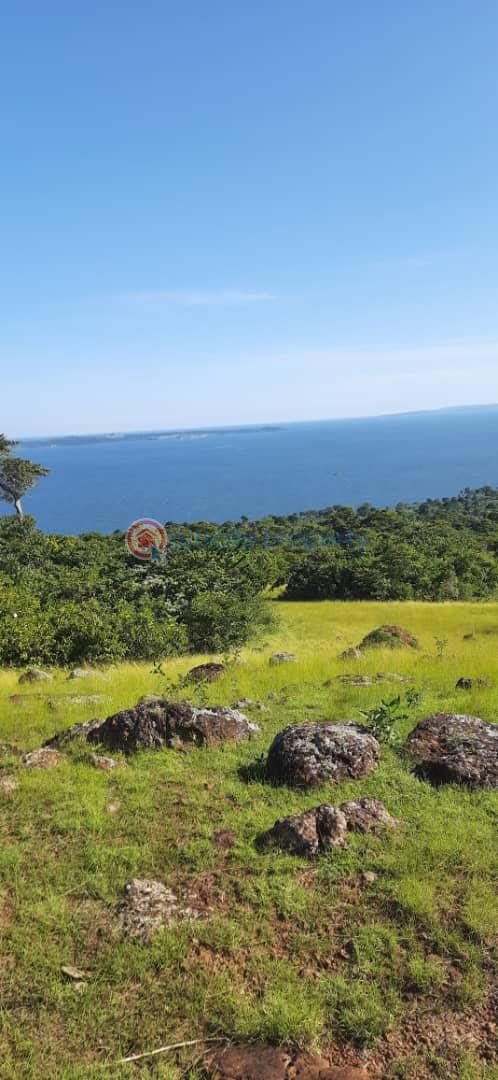 Land For Sale Katosi Road Mukono Central (PID: 7PABFP) | Private Property