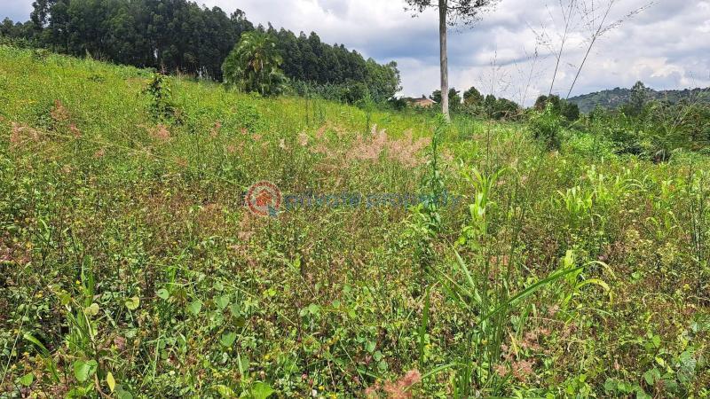 Land For Sale Kyegegwa Kakabara Kyegegwa Western (PID: 3PACHP ...