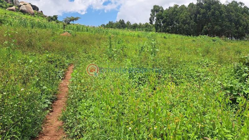 Land For Sale Kyegegwa Kakabara Kyegegwa Western (PID: 3PACHP ...