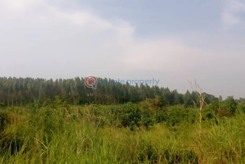 Land For Sale Mubende Central (PID: 1PAAGT) | Private Property