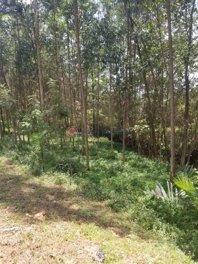 Land For Sale Njeru Buikwe Central (PID: 4PAADQ) | Private Property