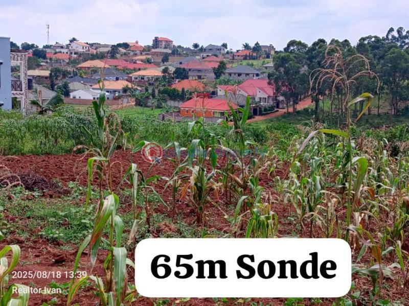 Land For Sale Namugongo Sonde Goma Mukono Central (PID: 2PACHR ...