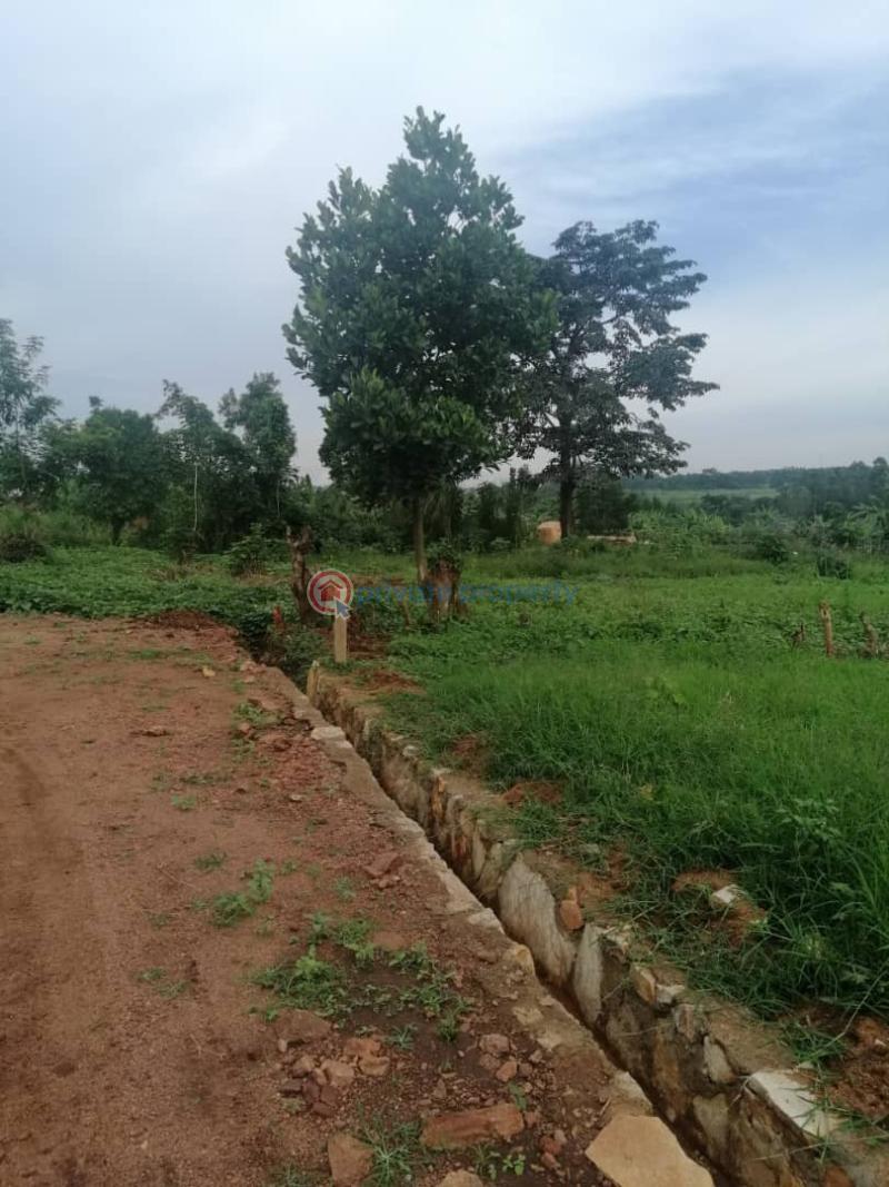 Land For Sale Gayaza Kyambogo Busukuma Gayaza Wakiso Central (PID ...