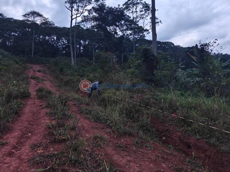 Land For Sale Matugga / 15mins Off Bombo Road Wakiso Central (PID ...