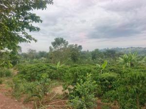 Land For Sale in Uganda (692 Listed) | Private Property